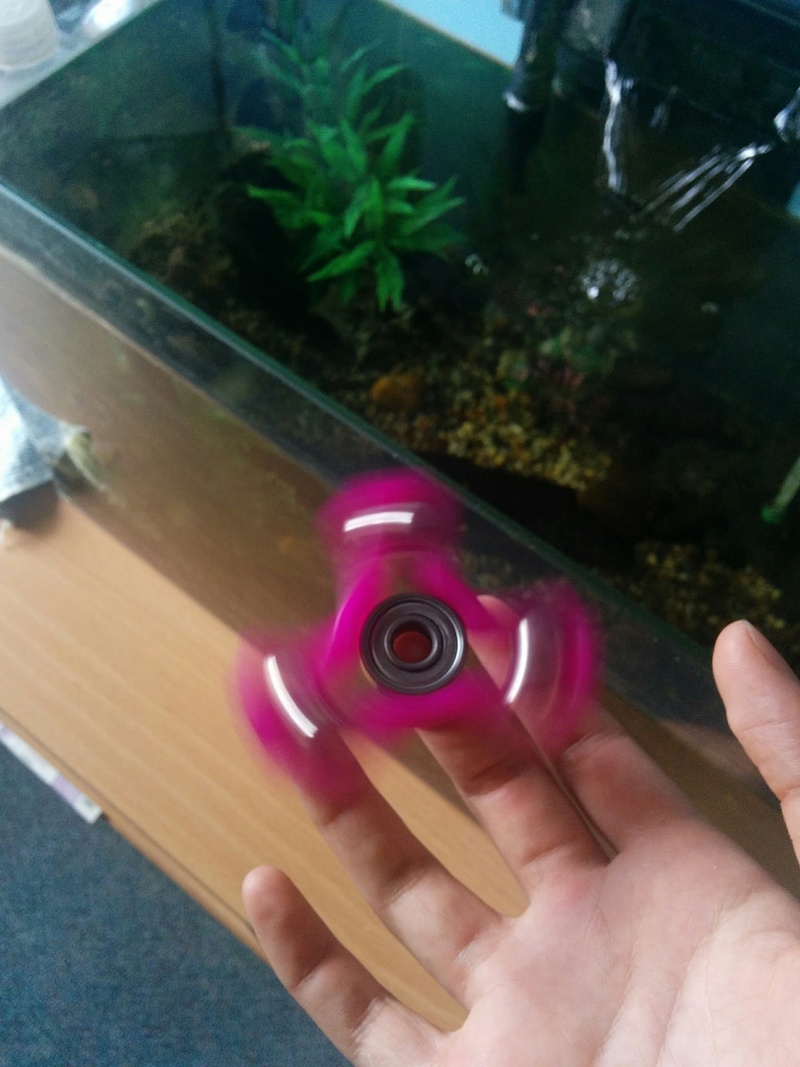 crown spinner - trispinner - Pinshape