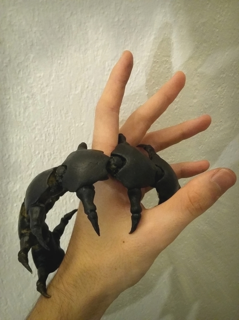 Centipede - Pinshape