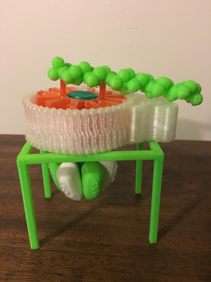 ATP Synthase - Pinshape