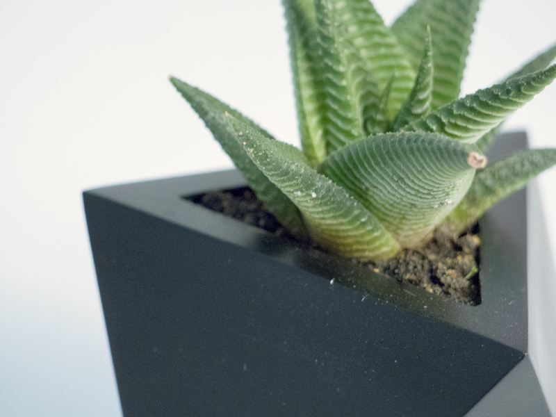 Octaedro planter - Pinshape