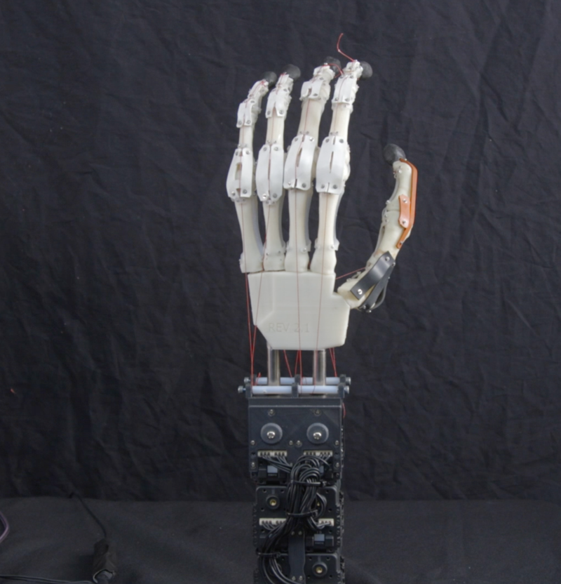 Biomimetic Robotic Prosthetic Hand - Pinshape