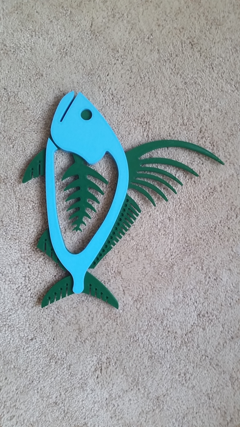 Rooster Fish - Pinshape