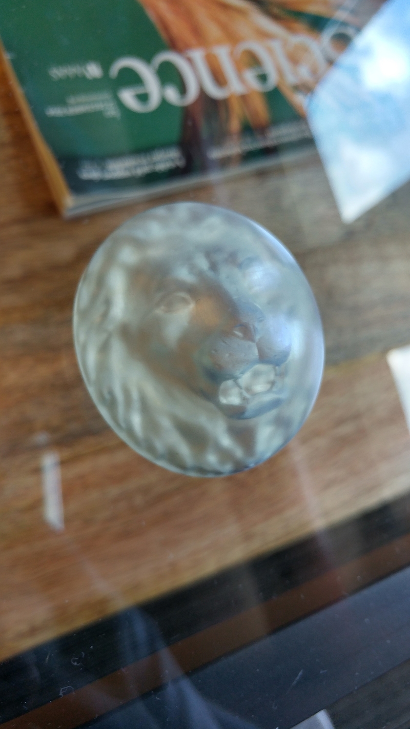 Lion Head Negative (Castable) - Pinshape