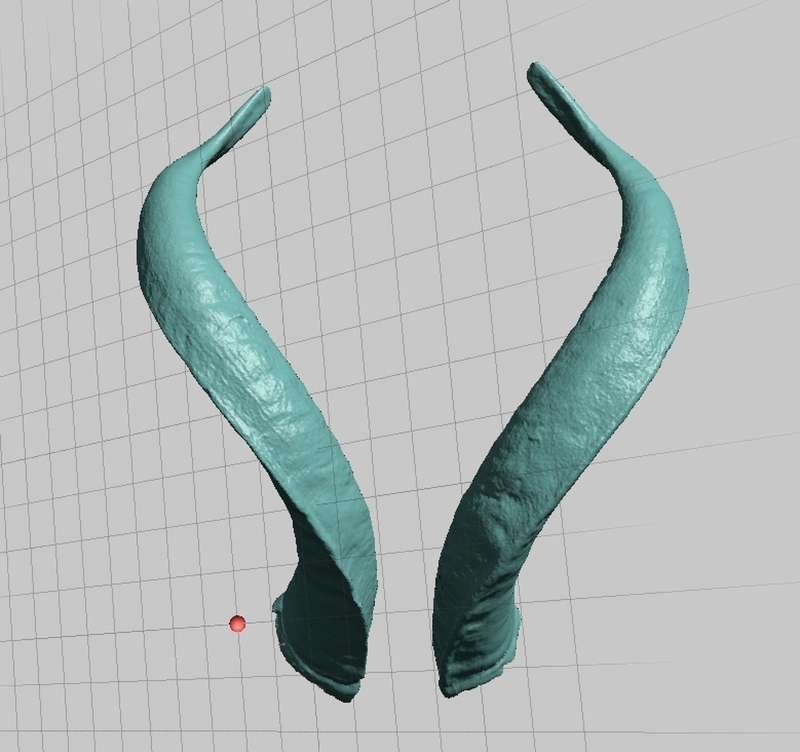 Real Evil Satan Goat Horns, High Resolution Scans - Pinshape