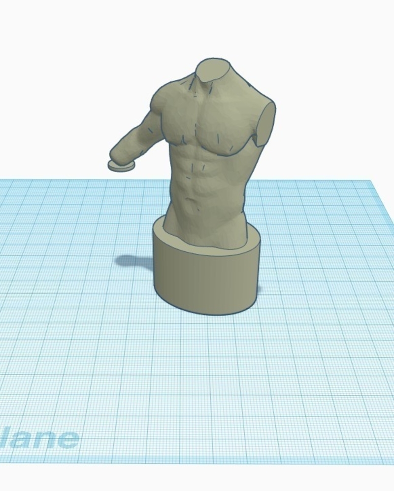 Transradial (below-elbow) limb loss/difference model for prosthe - Pinshape