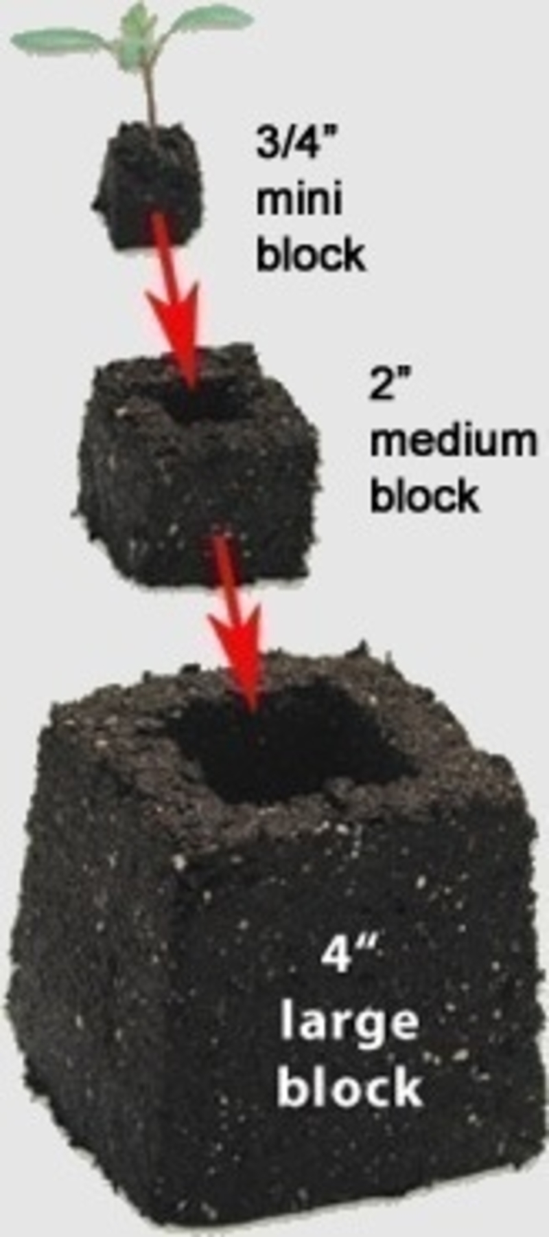 Soil Block Tongs - Pinshape