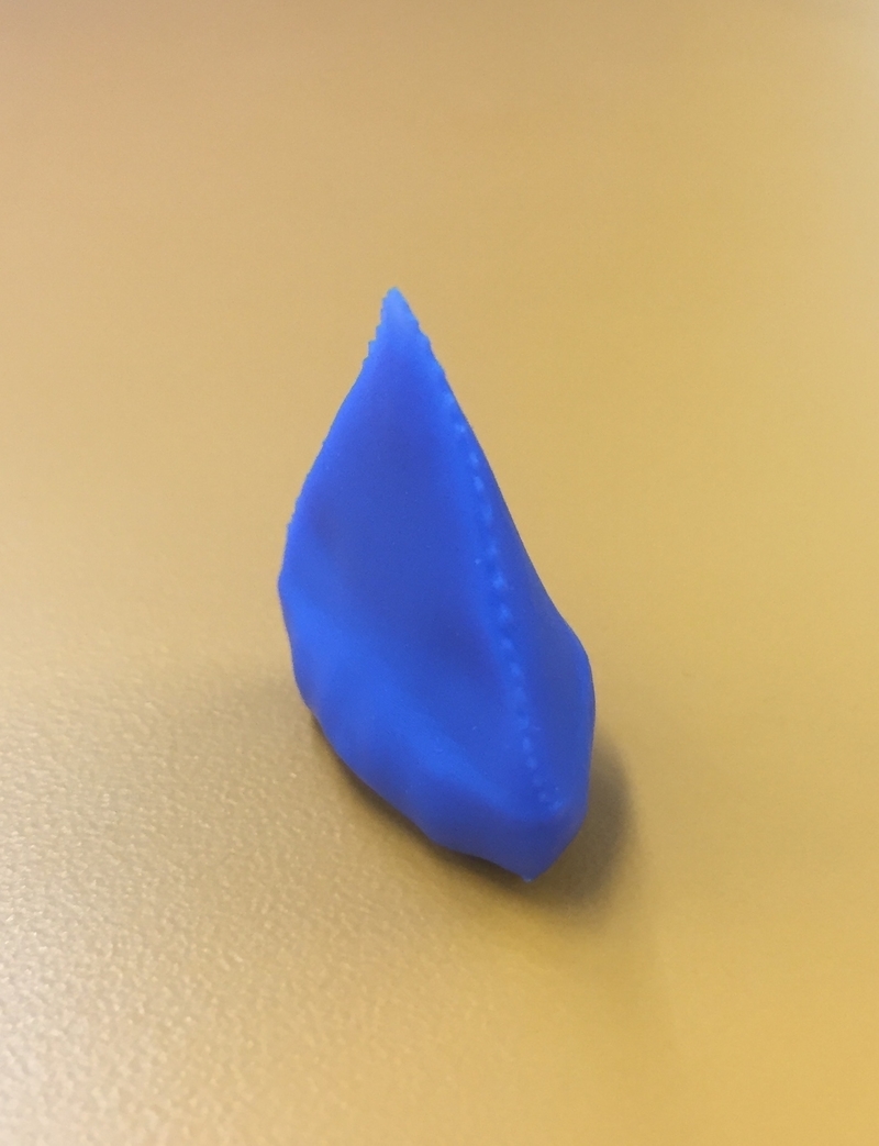Great White Shark Tooth - Pinshape