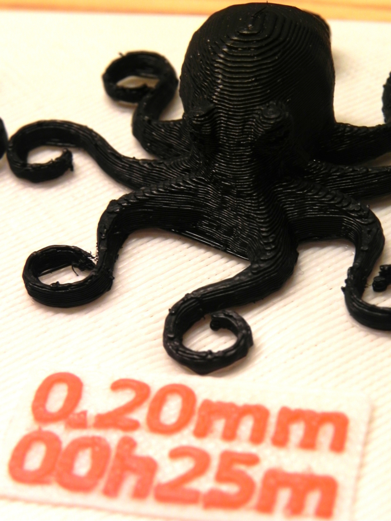3D Printed Octopuses for quality test [ size=50mm ] (1) - Pinshape