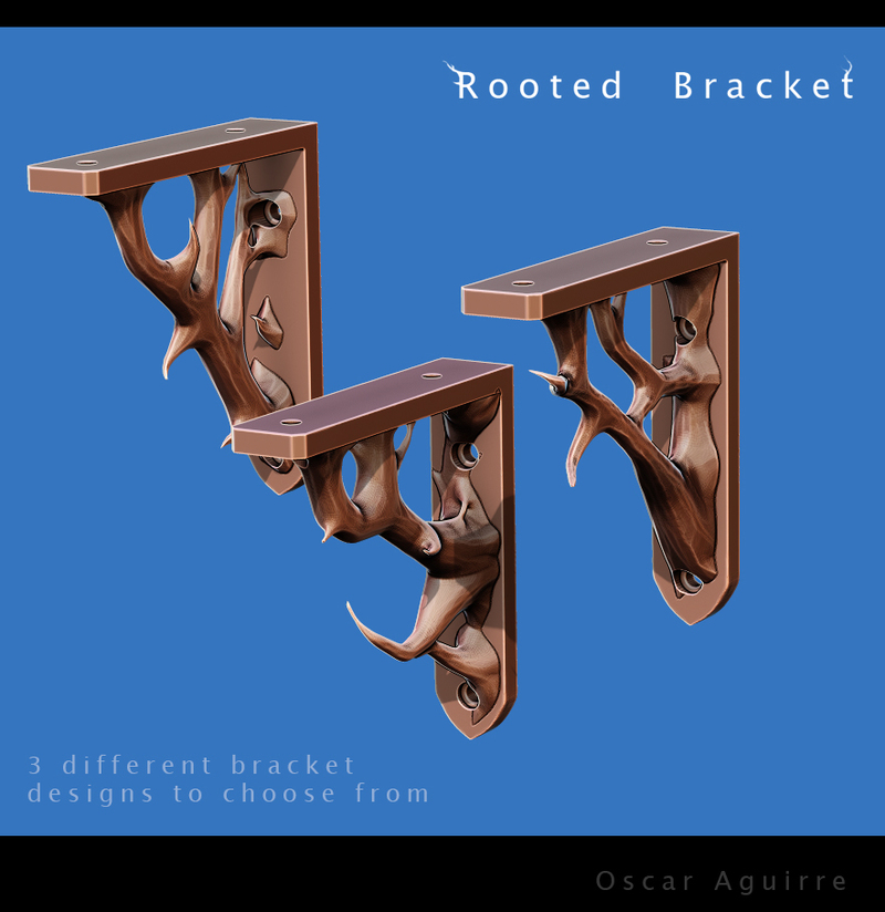 Rooted Brackets - Pinshape