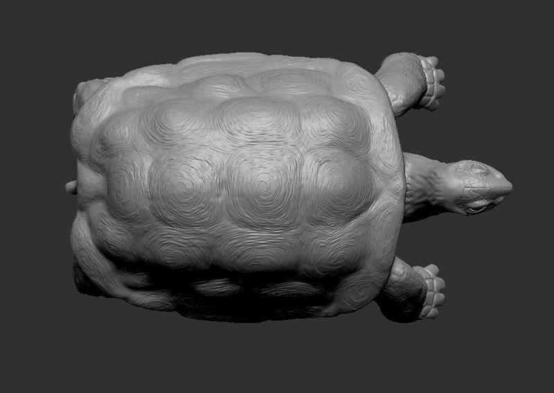 Tortoise - Pinshape