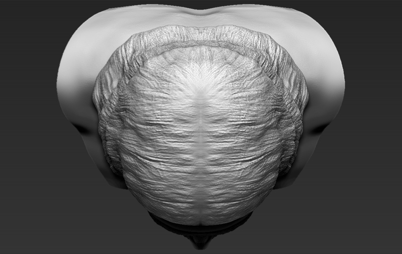 Jesus reconstruction based on Shroud of Turin 3D printing ready - Pinshape