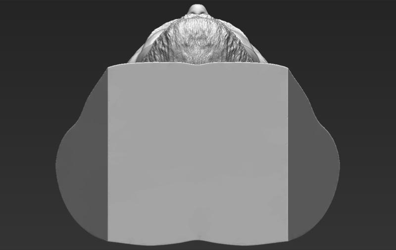 Jesus reconstruction based on Shroud of Turin 3D printing ready - Pinshape