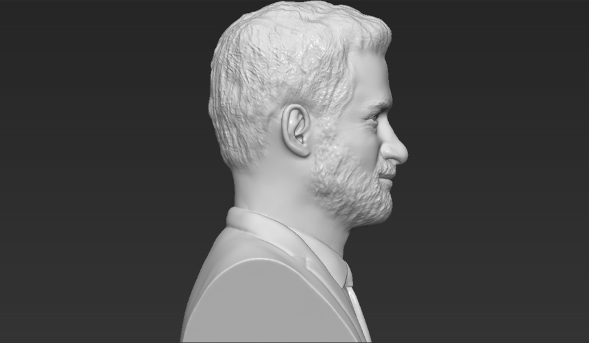 3D Printed Prince Harry bust 3D printing ready stl obj formats by ...