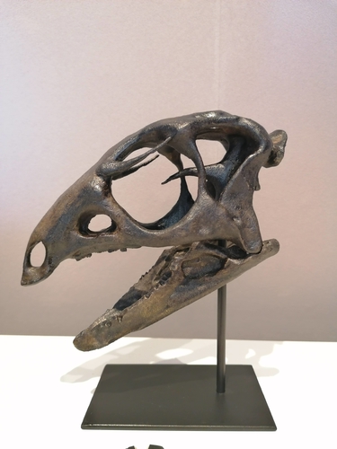 3D Printed Dinosaur skull - Dryosaurus Altus by Think3Dprint | Pinshape