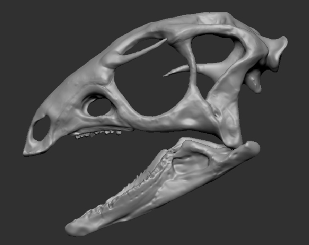 3D Printed Dinosaur skull - Dryosaurus Altus by Think3Dprint | Pinshape