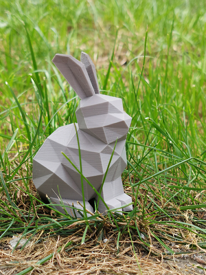 Low poly rabbit - Pinshape