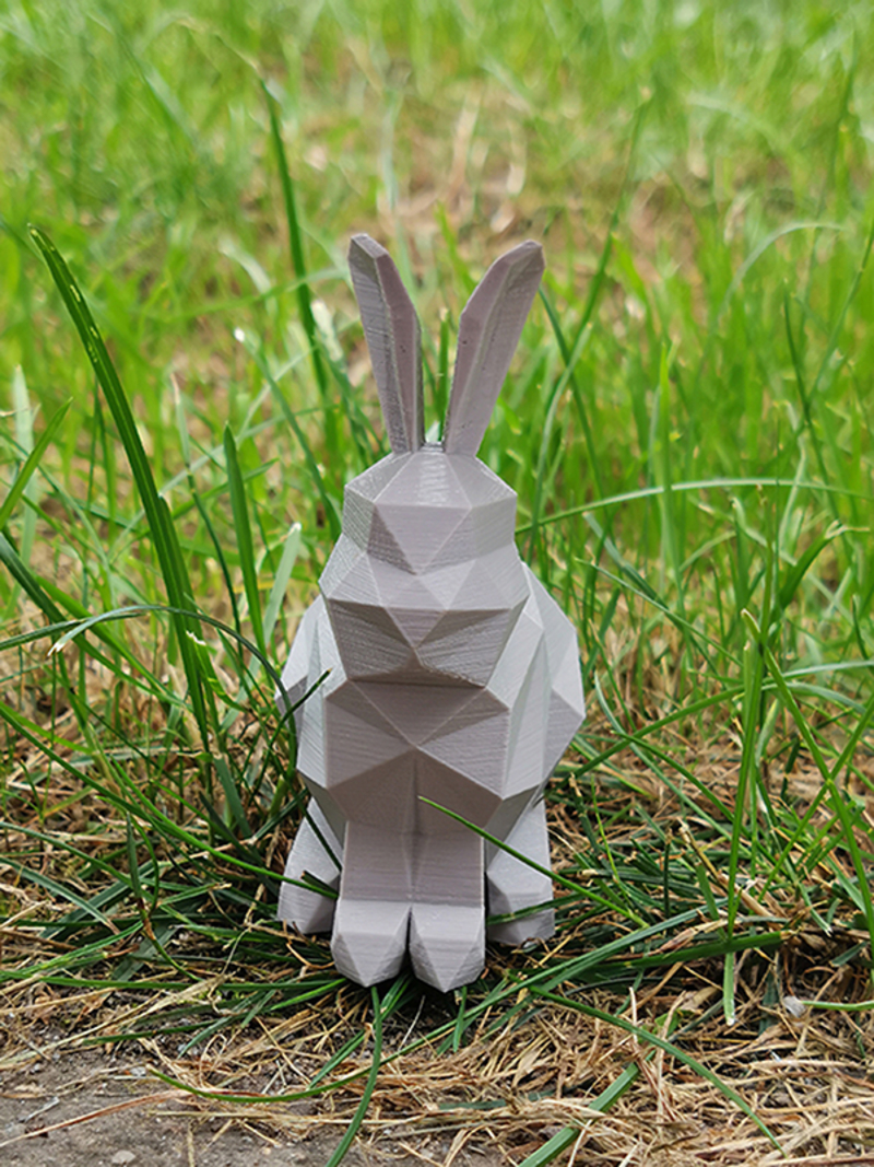 Low poly rabbit - Pinshape