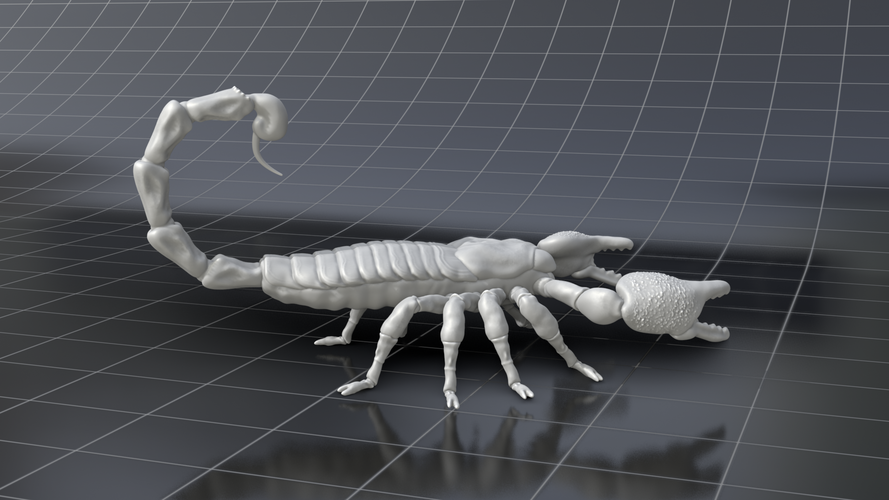 3D Printed Scorpion by gydwin | Pinshape