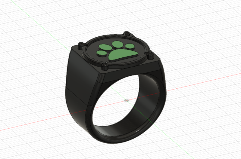 Cat Noir Ring - Miraculous: Ladybug and Cat Noir - Pinshape