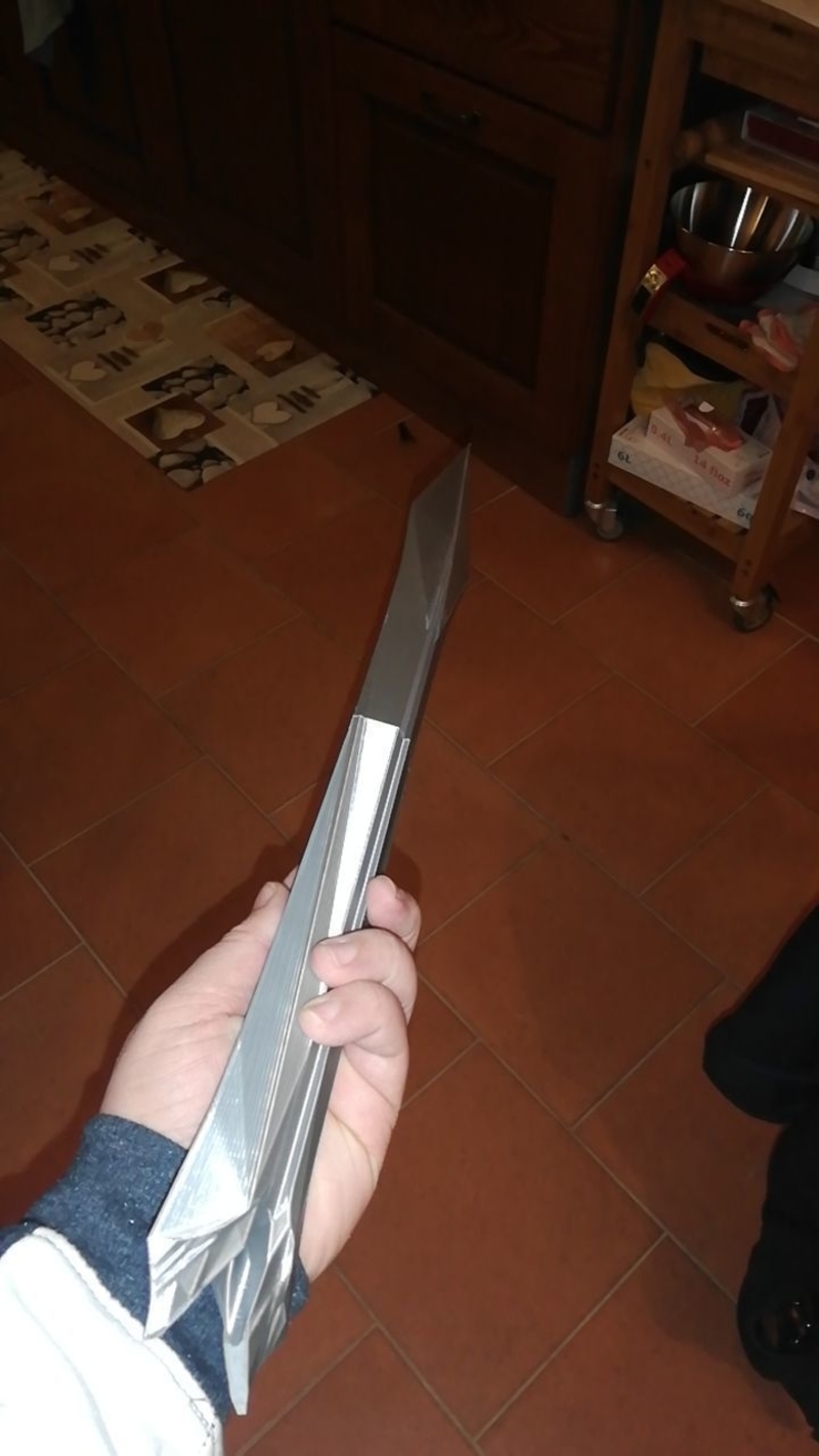 ENDURING SWORD TALON - Pinshape