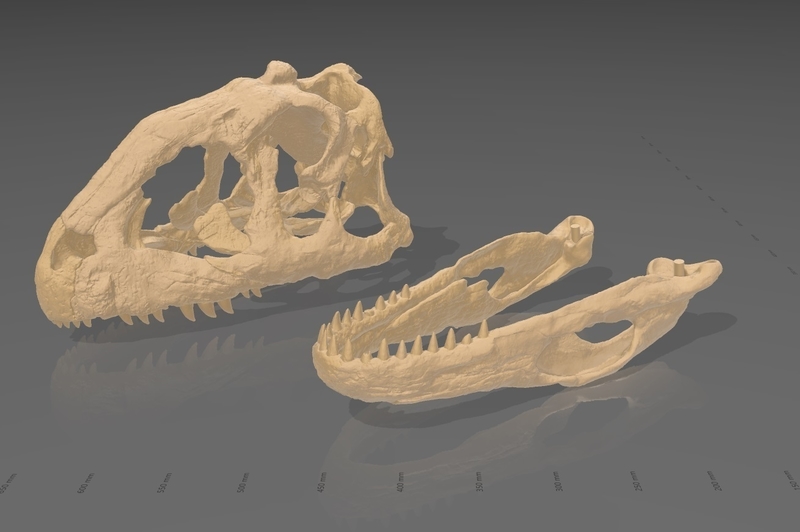 Dinosaur Skull - Majungasaurus - Pinshape