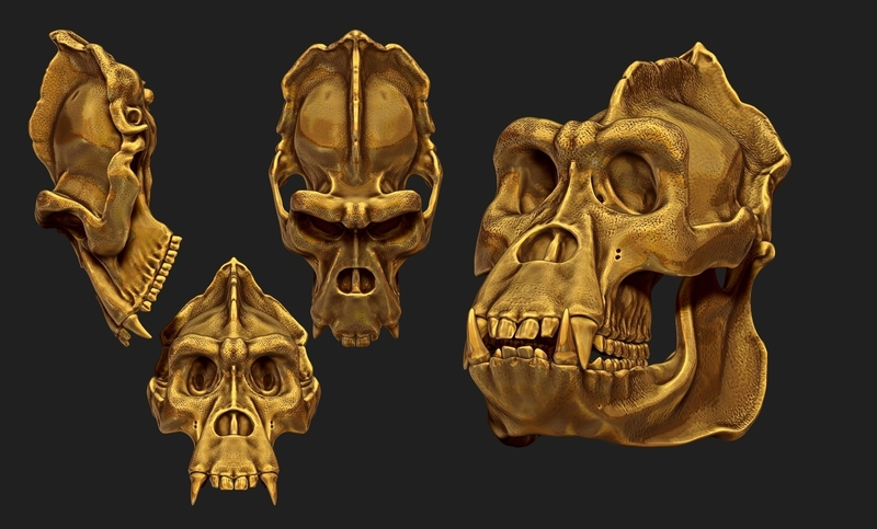 Gorilla Skull - Pinshape