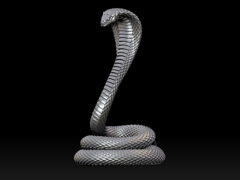 Cobra - Pinshape