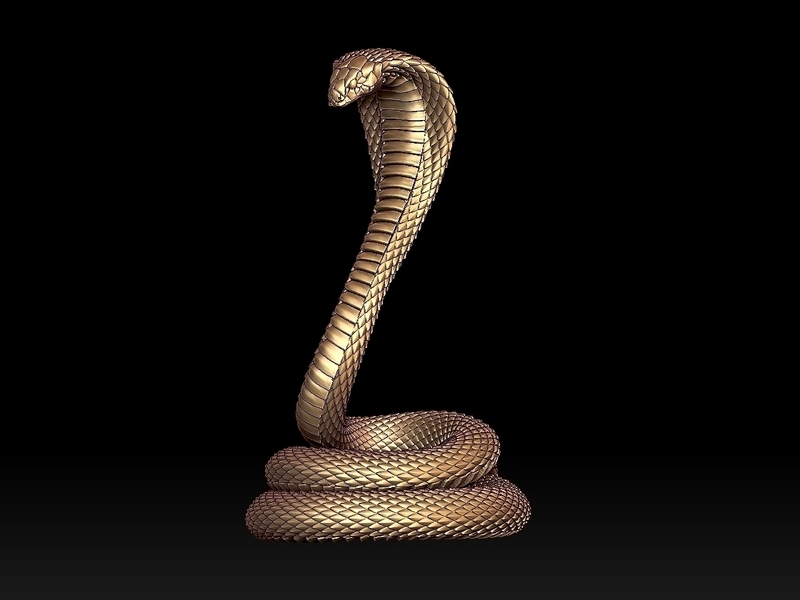 Cobra - Pinshape