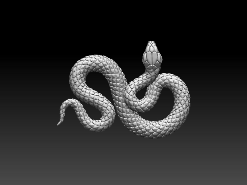 snake - Pinshape