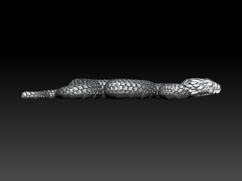 snake - Pinshape