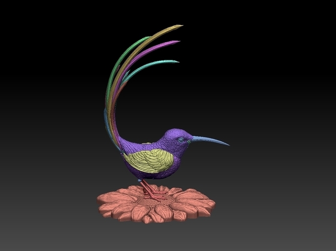 3D Printed colibri humming bird by ExplorerPaydi | Pinshape