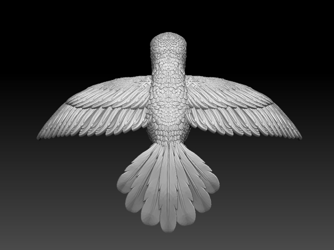 3D Printed colibri humming bird by ExplorerPaydi | Pinshape