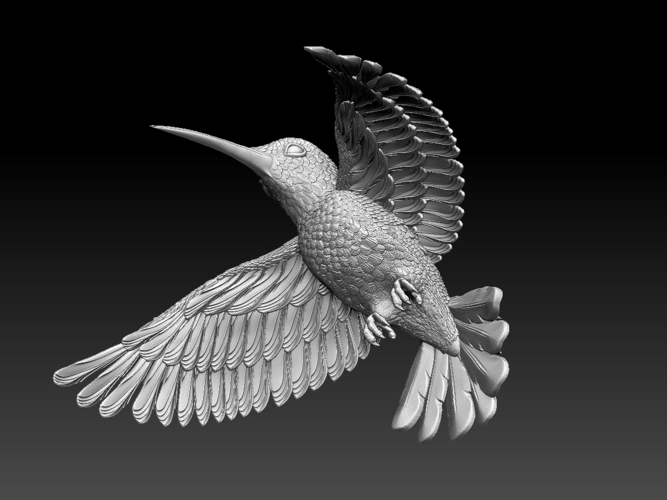 3D Printed colibri humming bird by ExplorerPaydi | Pinshape