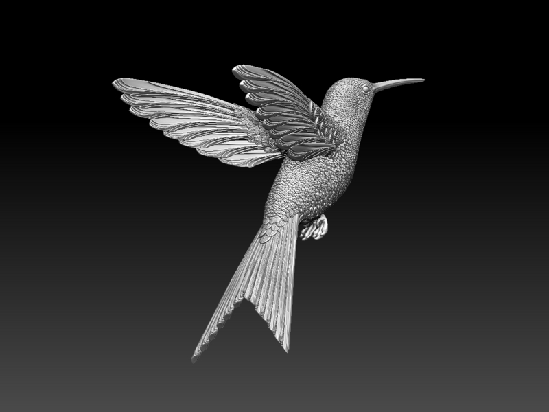 colibri humming bird - Pinshape