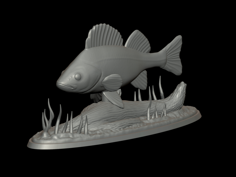big perch underwater statue detailed texture for 3d printing - Pinshape