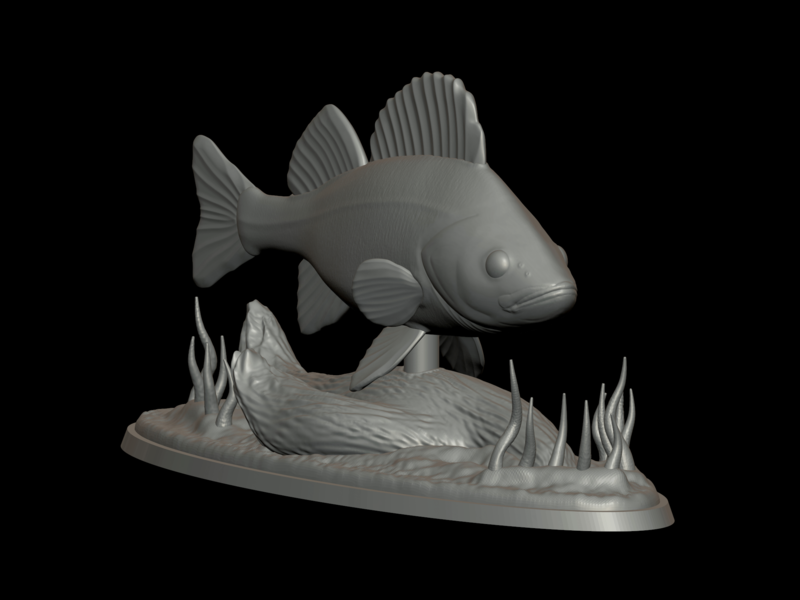 big perch underwater statue detailed texture for 3d printing - Pinshape