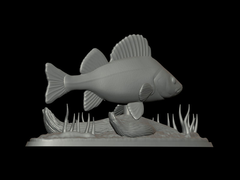 big perch underwater statue detailed texture for 3d printing - Pinshape