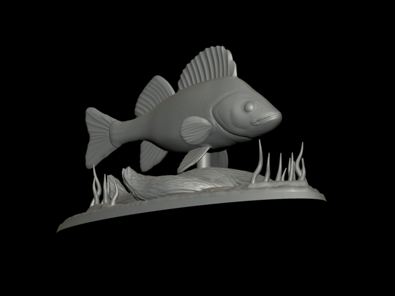 big perch underwater statue detailed texture for 3d printing - Pinshape