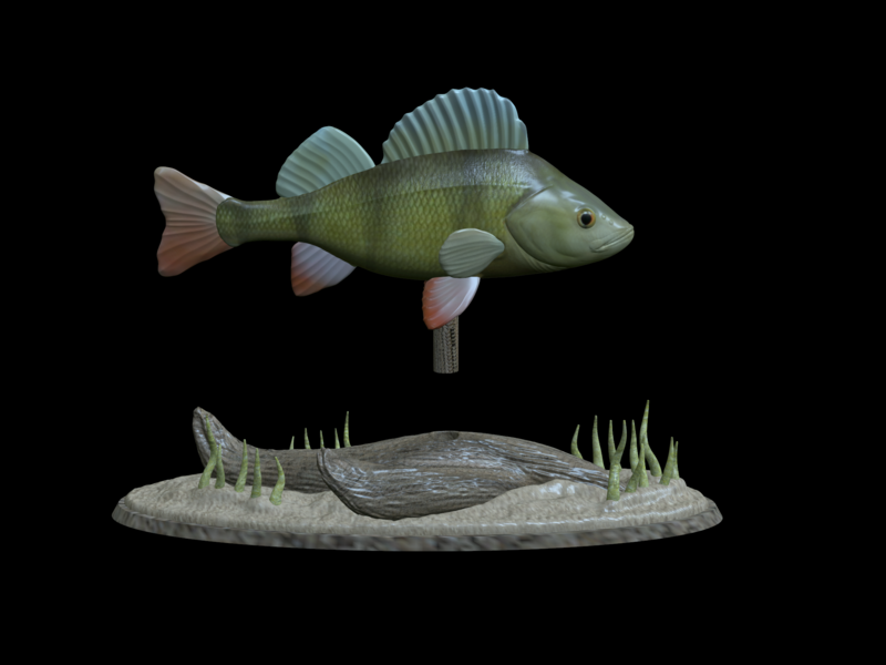 big perch underwater statue detailed texture for 3d printing - Pinshape