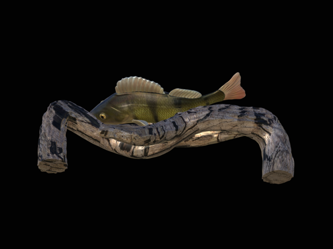 3D Printed perch underwater statue on the wall by artman | Pinshape