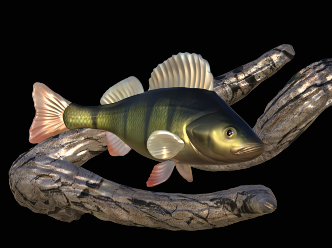 3D Printed perch underwater statue on the wall by artman | Pinshape