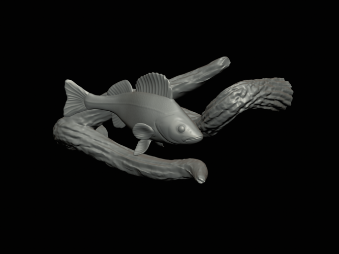 3D Printed perch underwater statue on the wall by artman | Pinshape