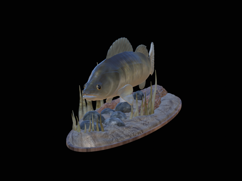 zander 2.0 underwater statue detailed - Pinshape