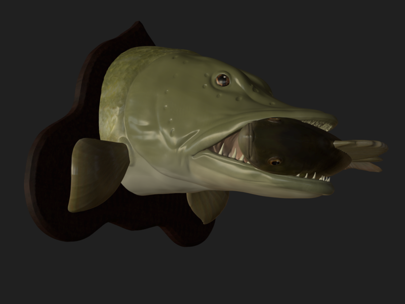 Pike eat perch detailed texture trophy taxidermy - Pinshape