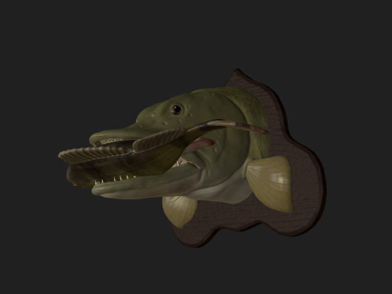 Pike eat perch detailed texture trophy taxidermy - Pinshape