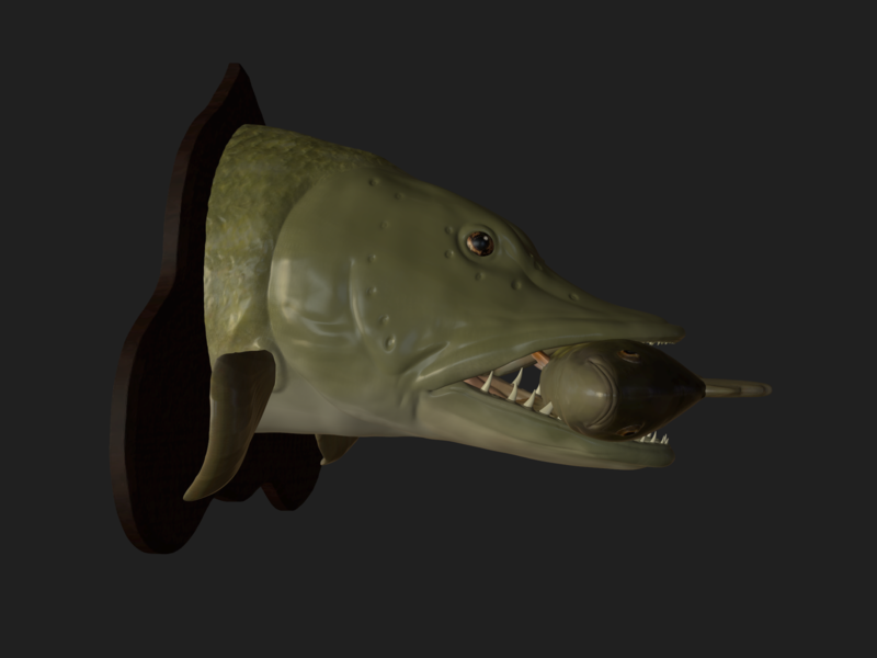 Pike eat perch detailed texture trophy taxidermy - Pinshape