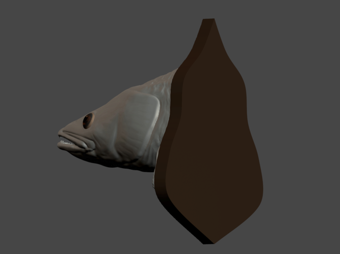 3D Printed Zander detailed texture trophy taxidermy by artman | Pinshape