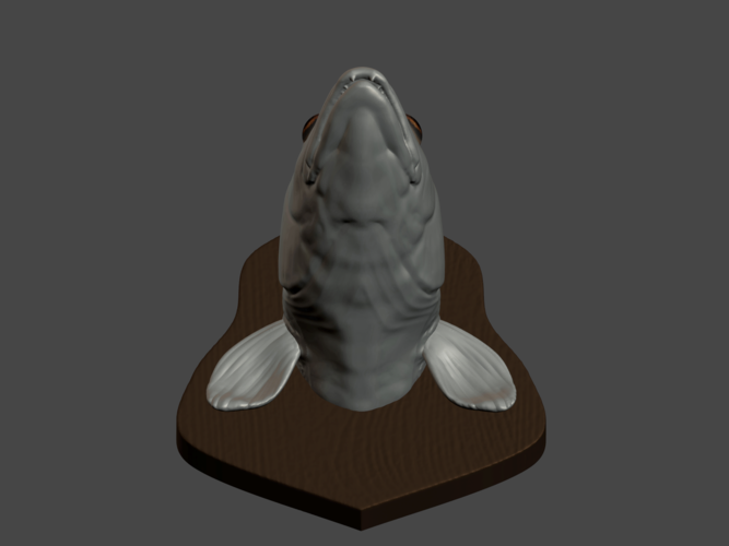 3D Printed Zander detailed texture trophy taxidermy by artman | Pinshape