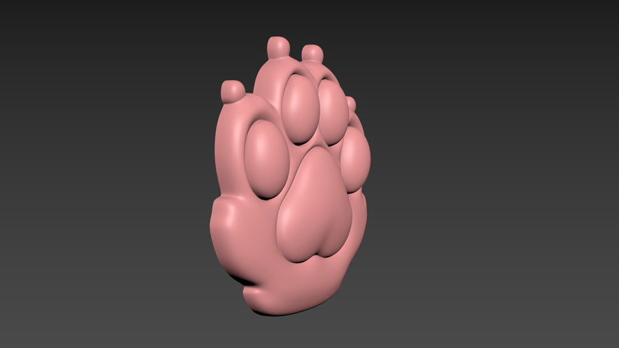3D Printed Cat Paw by Relief | Pinshape