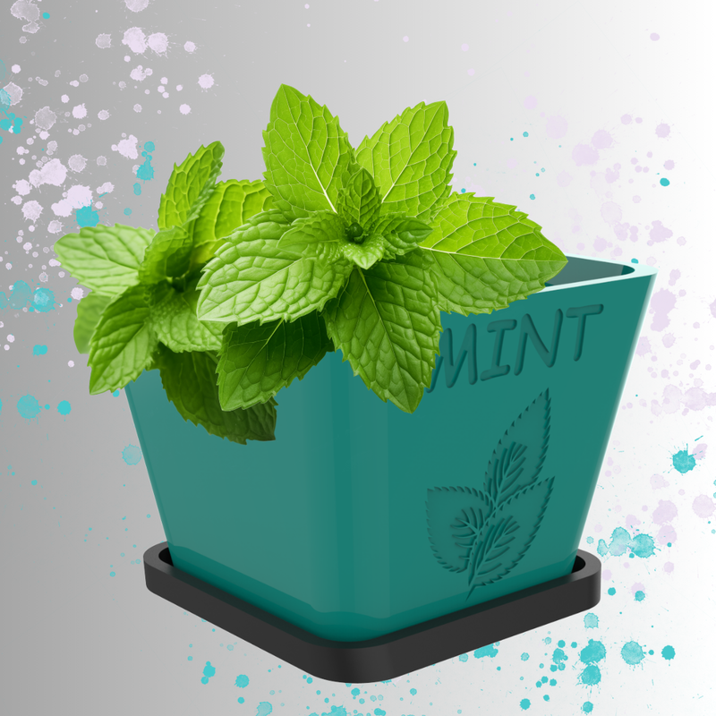 Mint Herb Pot Planter - Pinshape